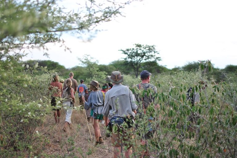 Learning with the San-Bushman in Namibia – Bushcraft with David Willis